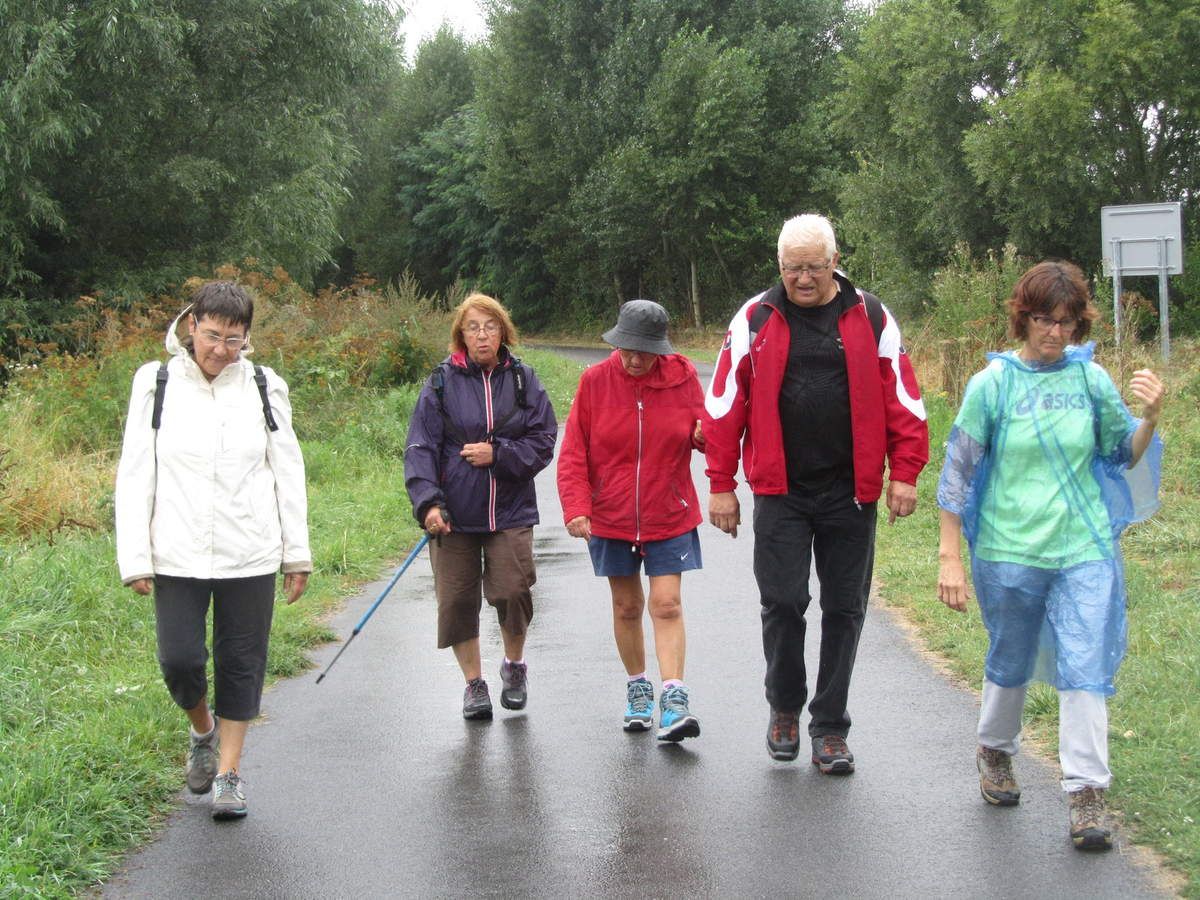 Les marcheurs du dimanche - Marche Nature Détente : "Faire route à pied ...