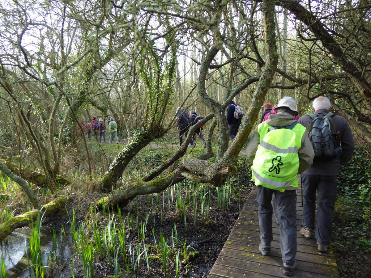 Du Marais du Quellen à l'Ile Grande