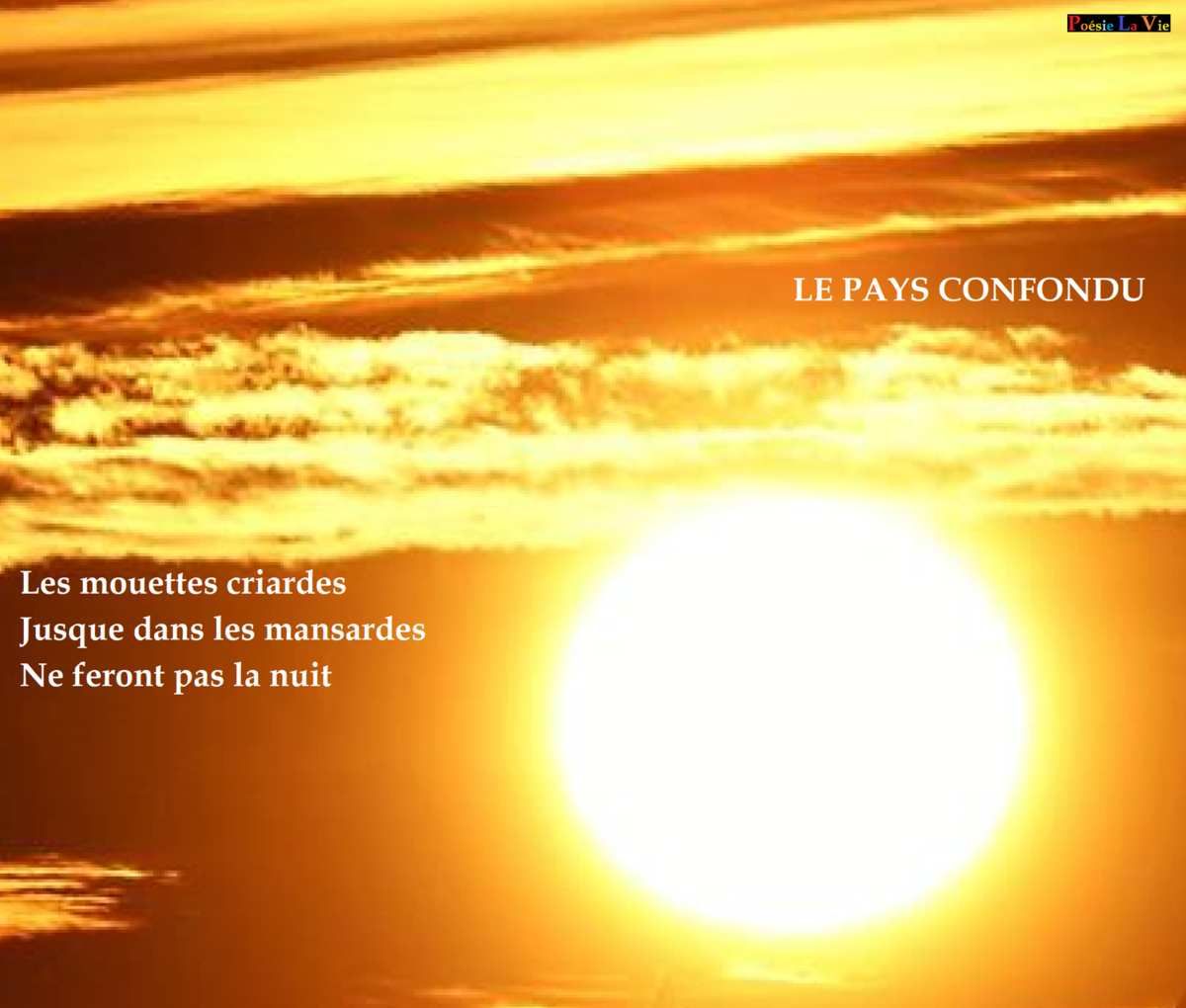 LE PAYS CONFONDU - Le blog de Pierre Montmory