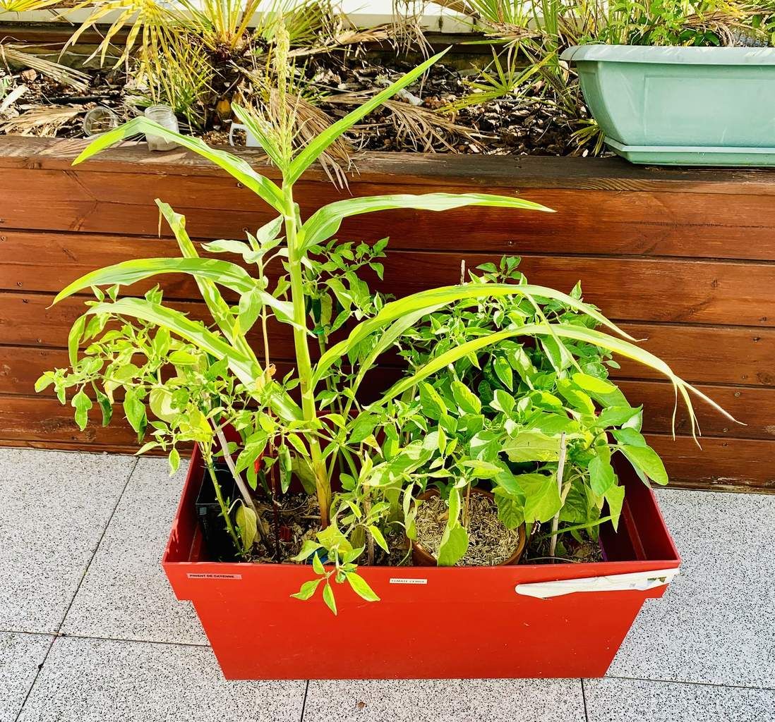 La gestion des pots et contenants, voilà une nouvelle étape dans la ...