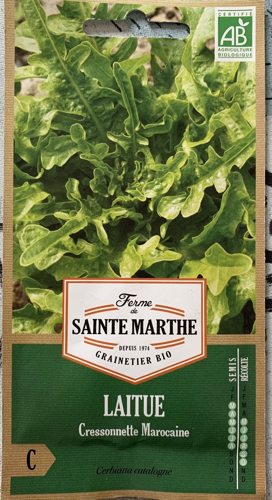 Semis de laitue, version "cressonnette marocaine", premier essai - Le ...