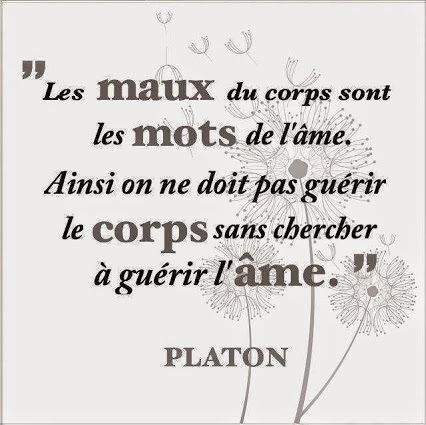 Platon - 10 Citations - La vache rose