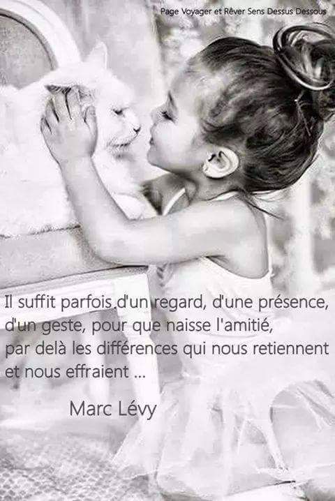 Marc Levy - 10 Citations - La vache rose