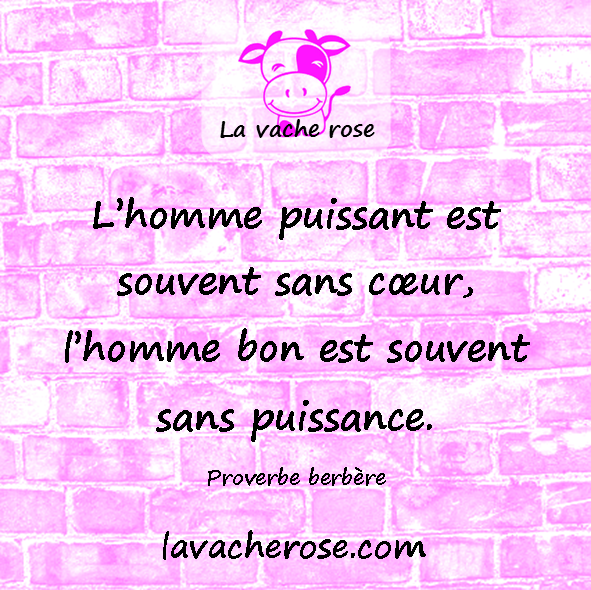 Proverbes berbères - La vache rose