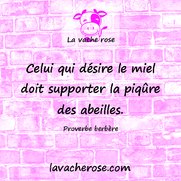 Proverbes berbères - La vache rose