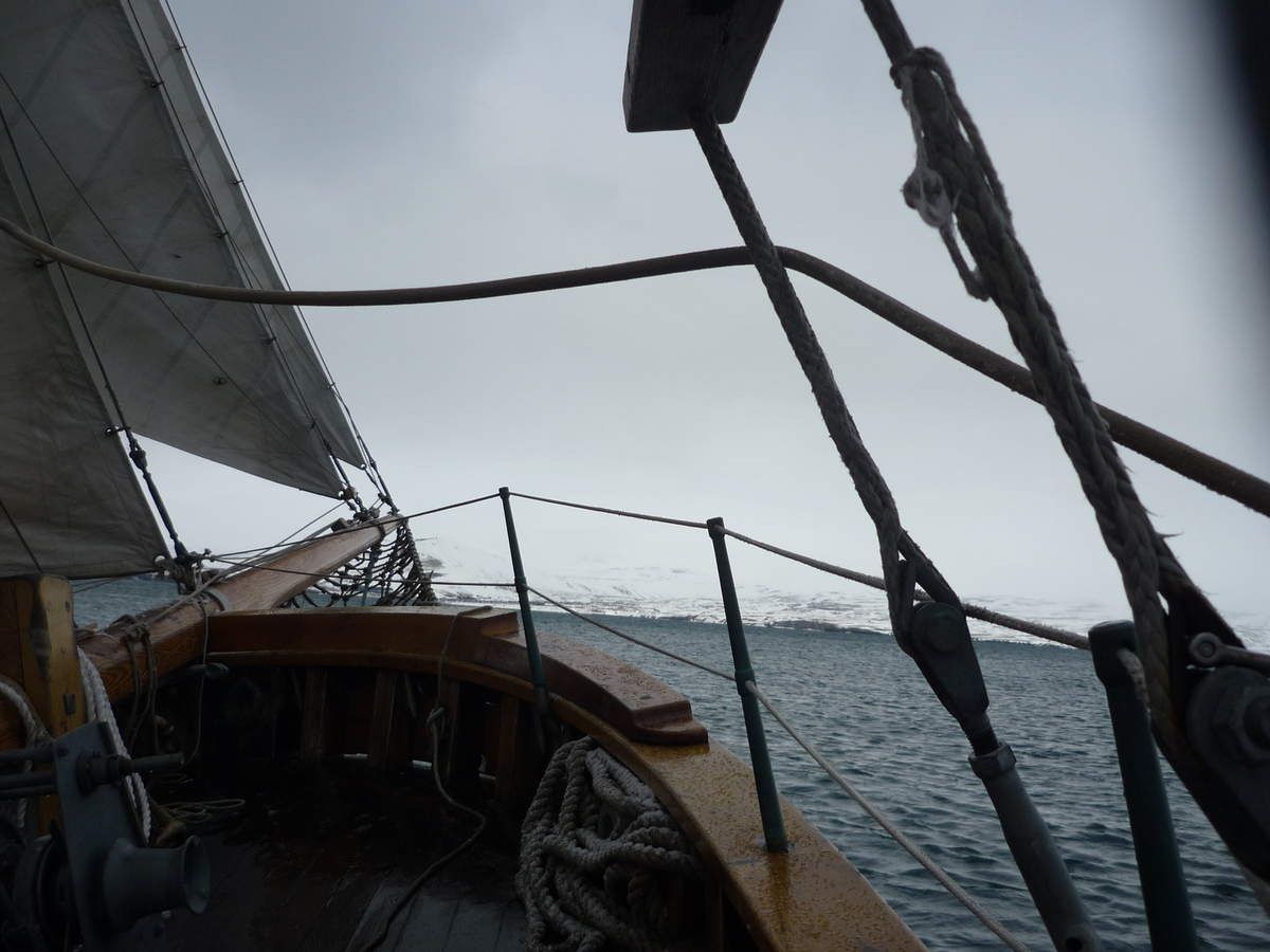 Húsavík, sortie en mer. - Instants Voyages