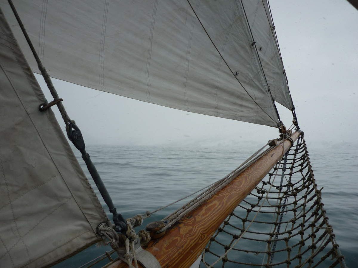 Húsavík, sortie en mer. - Instants Voyages