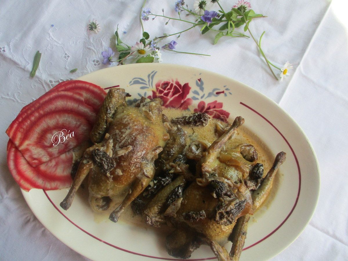Pigeonneaux aux morilles - Les petits plats de Béa