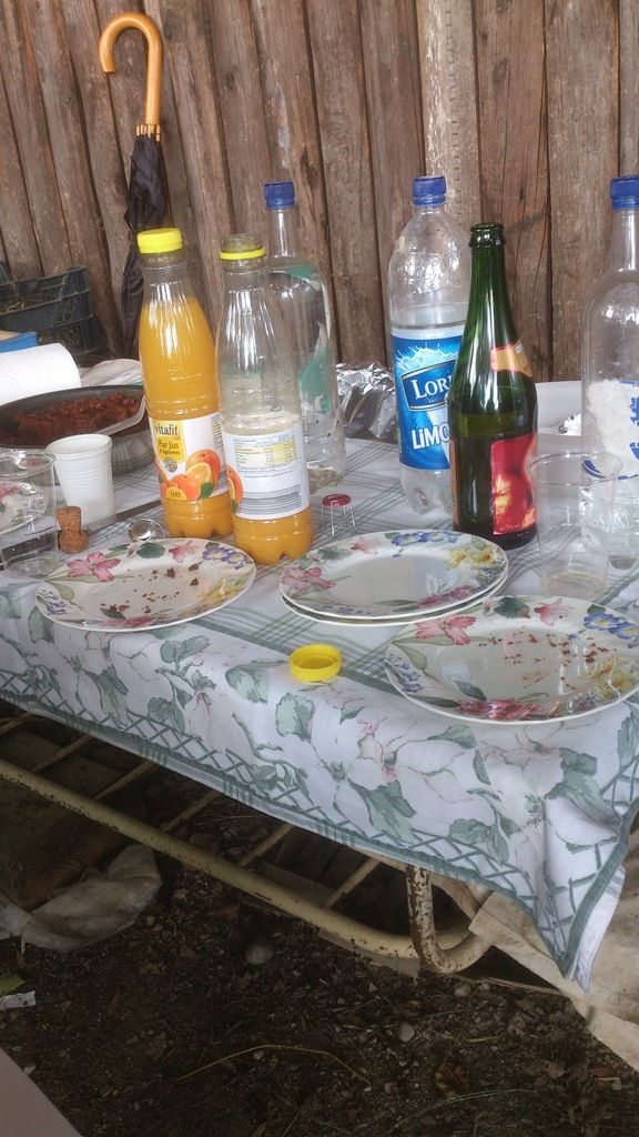 Visite du jardin de Jean Pierre Venot - Le blog de dakati