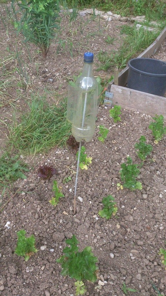 Visite du jardin de Jean Pierre Venot - Le blog de dakati