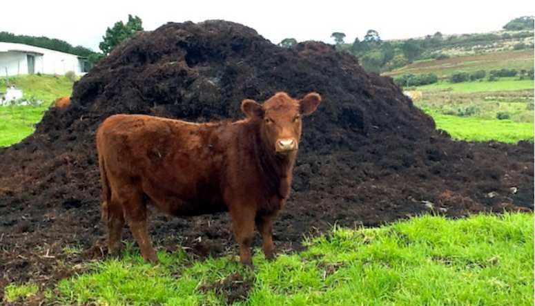 Le rôle du fumier dans l'agriculture durable - Agriculture ...