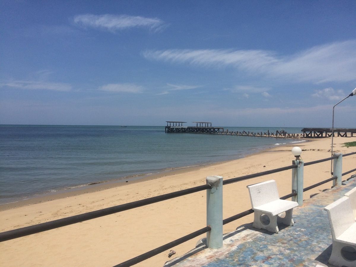 Découverte projet de reforestation Pranburi - Bangkok Intern Ship