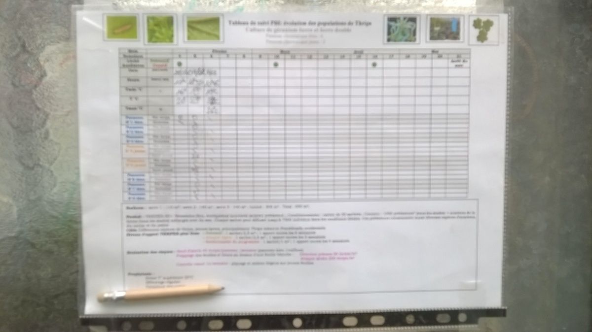 Projet zéro pesticides en horticulture - EREA Horticulture