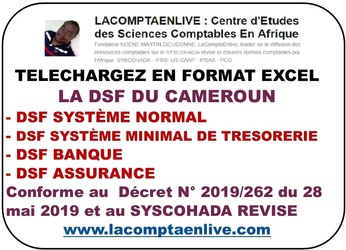 PDF Télécharger systeme allege ohada en excel Gratuit PDF | PDFprof.com