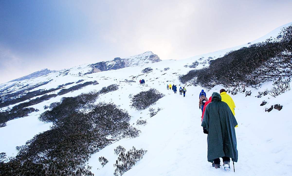 Trek to Chandrashila from Chopta - The Best Things To Do In Rishikesh