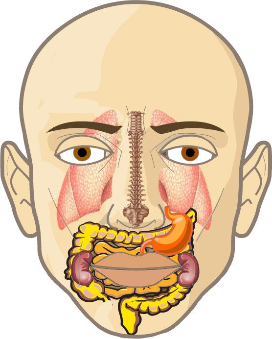Réflexologie Faciale Dien Chan - Formation Massage Réflexologie