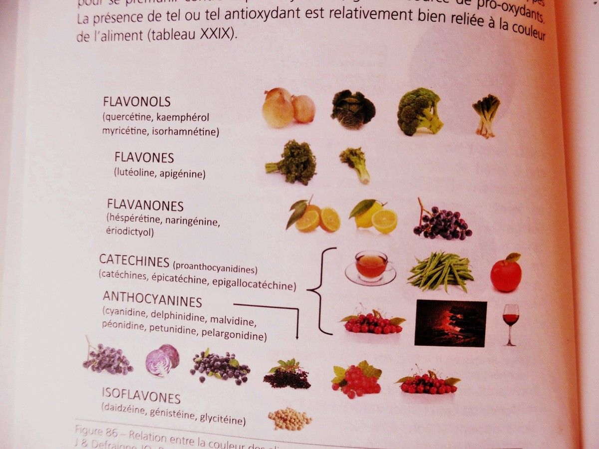 Les antioxydants - Santé par les aliments