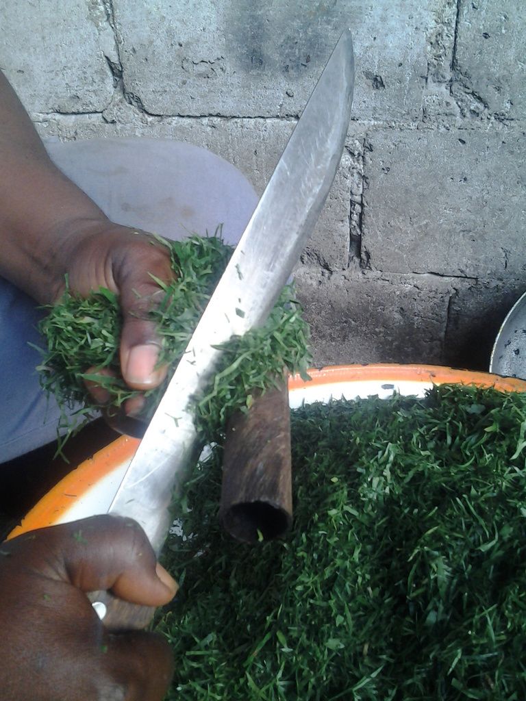 Un dimanche à Makak - Le blog du Dschangais