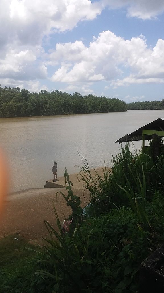 Le village de Roura - LES BARRE AUX AMERIQUES
