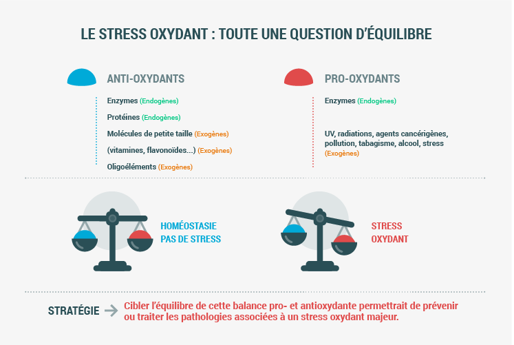 Les ANTIOXYDANTS: Le Véritable bouclier contre les radicaux libres ...