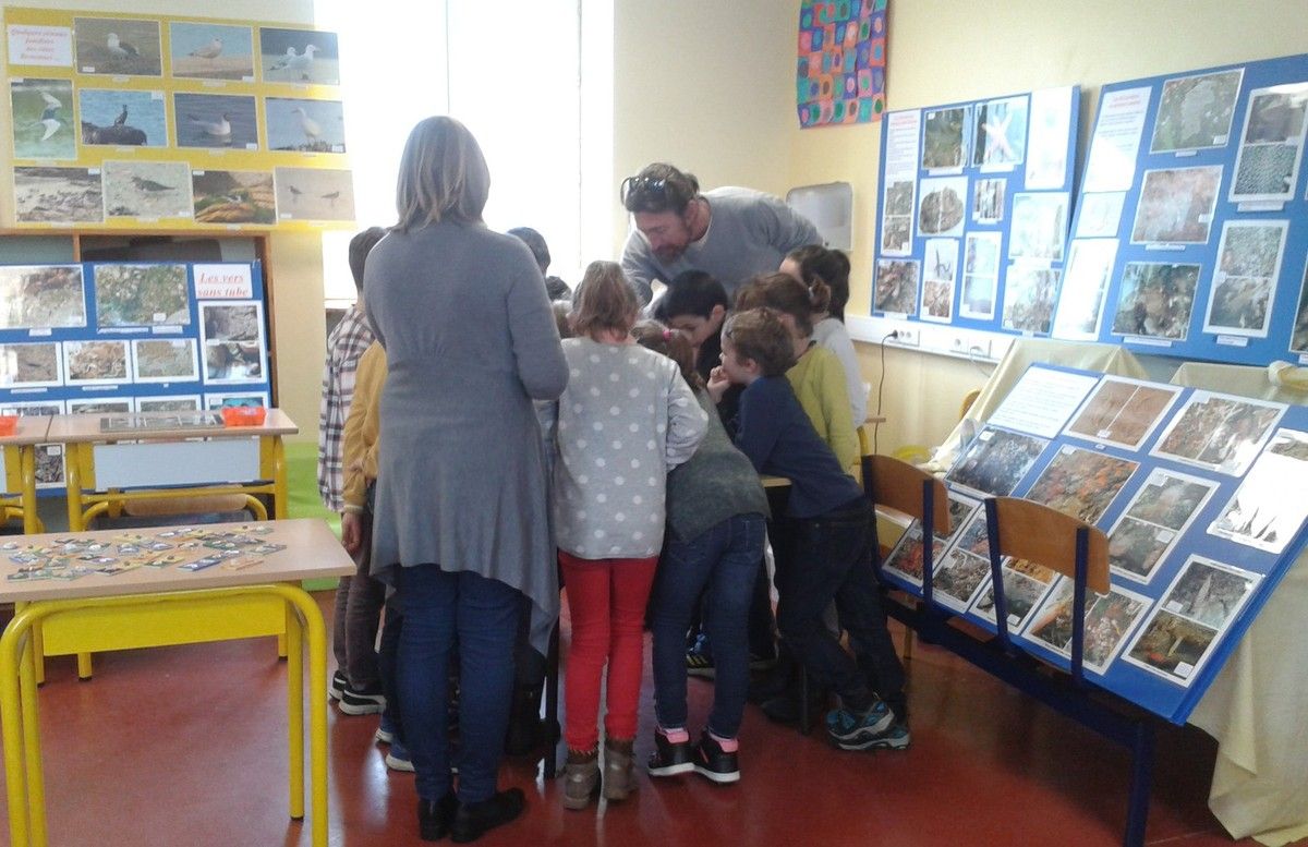 Janvier 2018: 3 jours d'animation en milieu scolaire. - Graine D'Océan