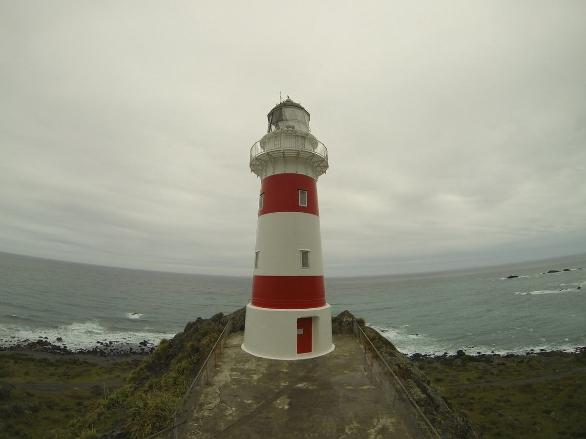 Cap Palliser - Notre road trip en Nouvelle-Zélande!