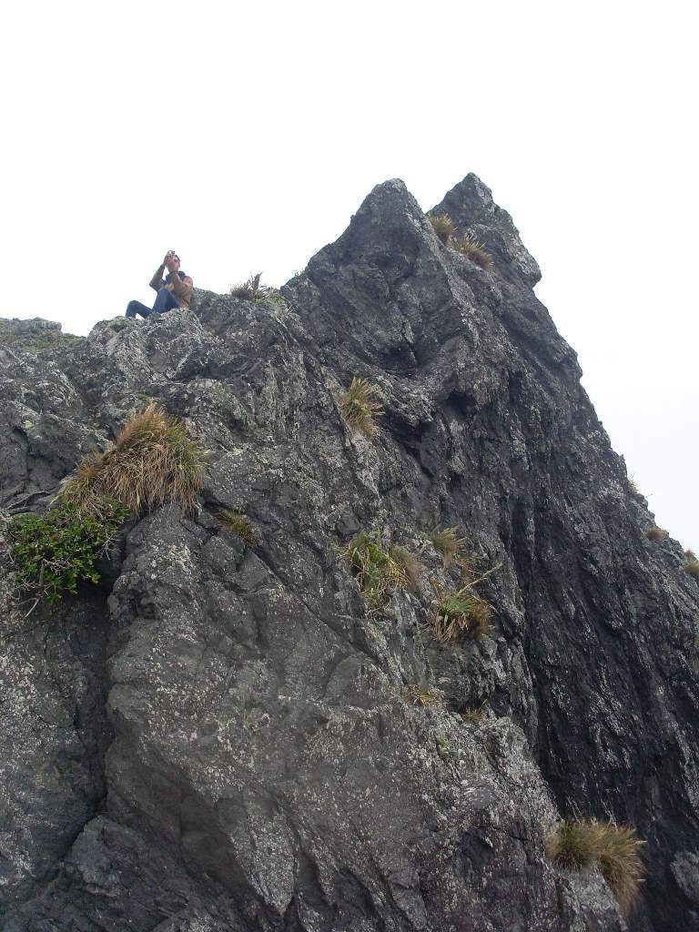 Cap Palliser - Notre road trip en Nouvelle-Zélande!