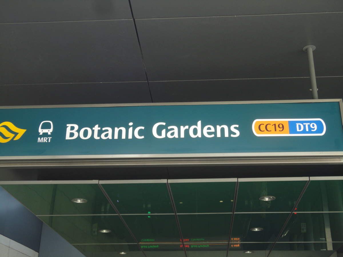 Visite du Singapore Botanic Gardens & de Clarke Quay - Rien que du Bonheur