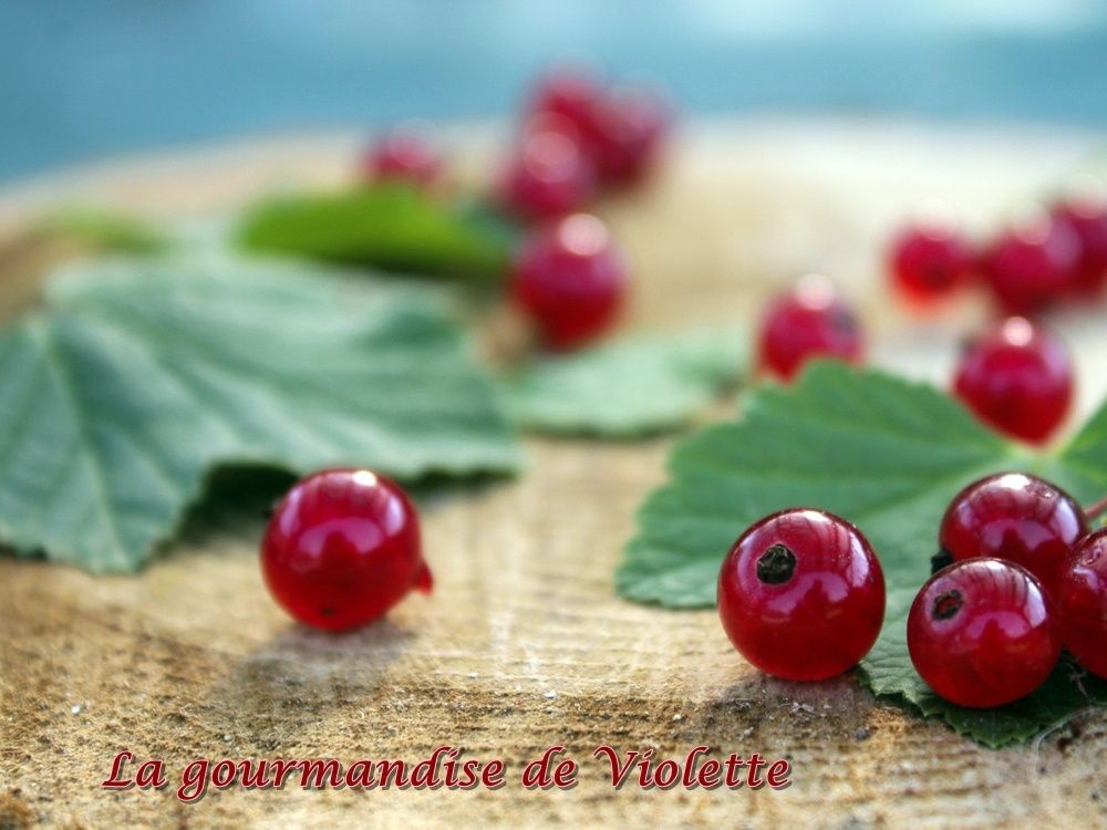 Coulis de groseilles au Thermomix - Comme une Violette