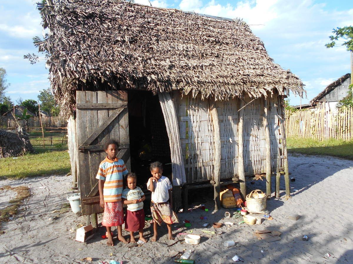 4_Tonga soa - madagascar