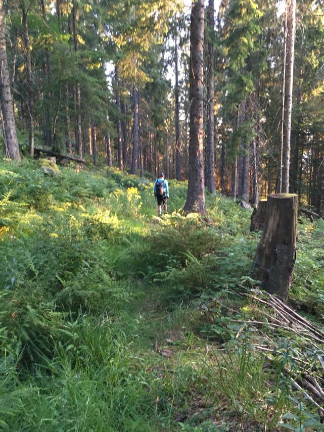 Feldberg 1493m point culminantde Forêt noire - Garre’au Montagne