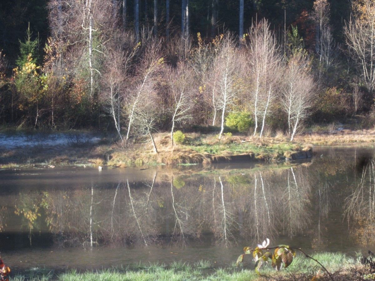 MERCREDI 14 NOVEMBRE RAMONCHAMP ET LES ETANGS - CLUB VOSGIEN DOMPAIRE ...