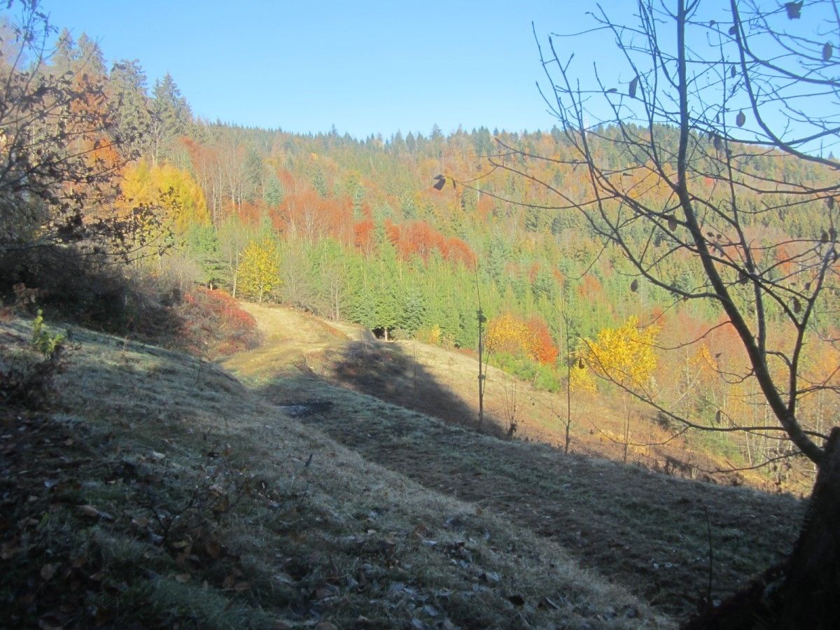 MERCREDI 14 NOVEMBRE RAMONCHAMP ET LES ETANGS - CLUB VOSGIEN DOMPAIRE ...