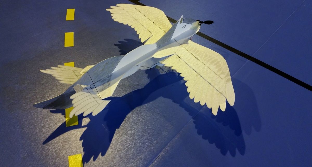 Pégasus - L'aéromodelisme simplement