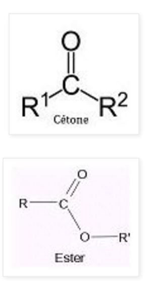 D.2. L'expression des phéromones chez les fourmis et les abeilles - L ...