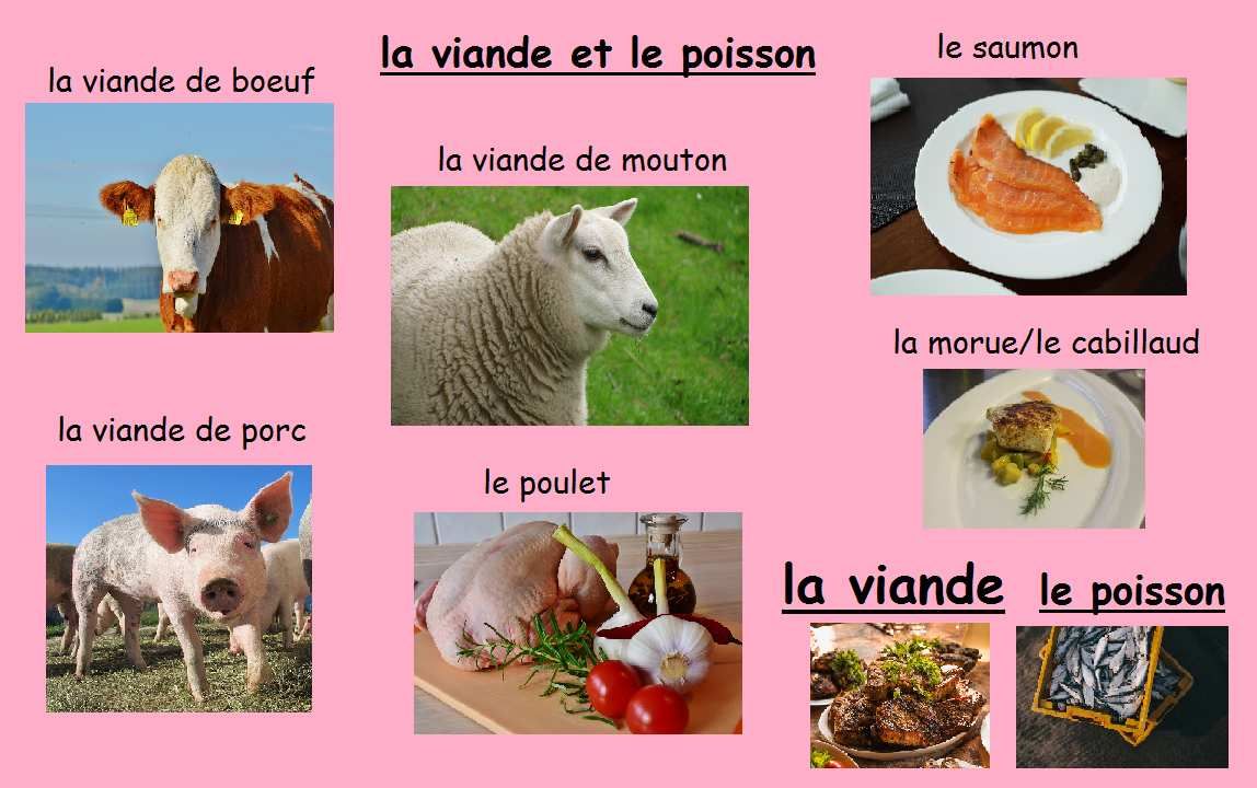 Les aliments - Apprendre le français avec et pour vos enfants.