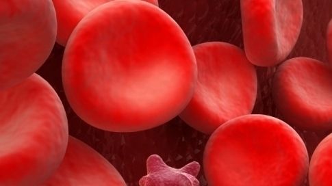 Plaquette sanguines durant la grossesse - Blog d'une maman pour 2 fois