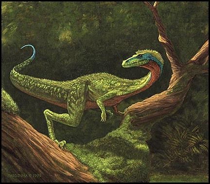 Atrociraptor vs Aviatyrannis - Le Monde Prehistorique