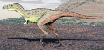 Atrociraptor vs Aviatyrannis - Le Monde Prehistorique