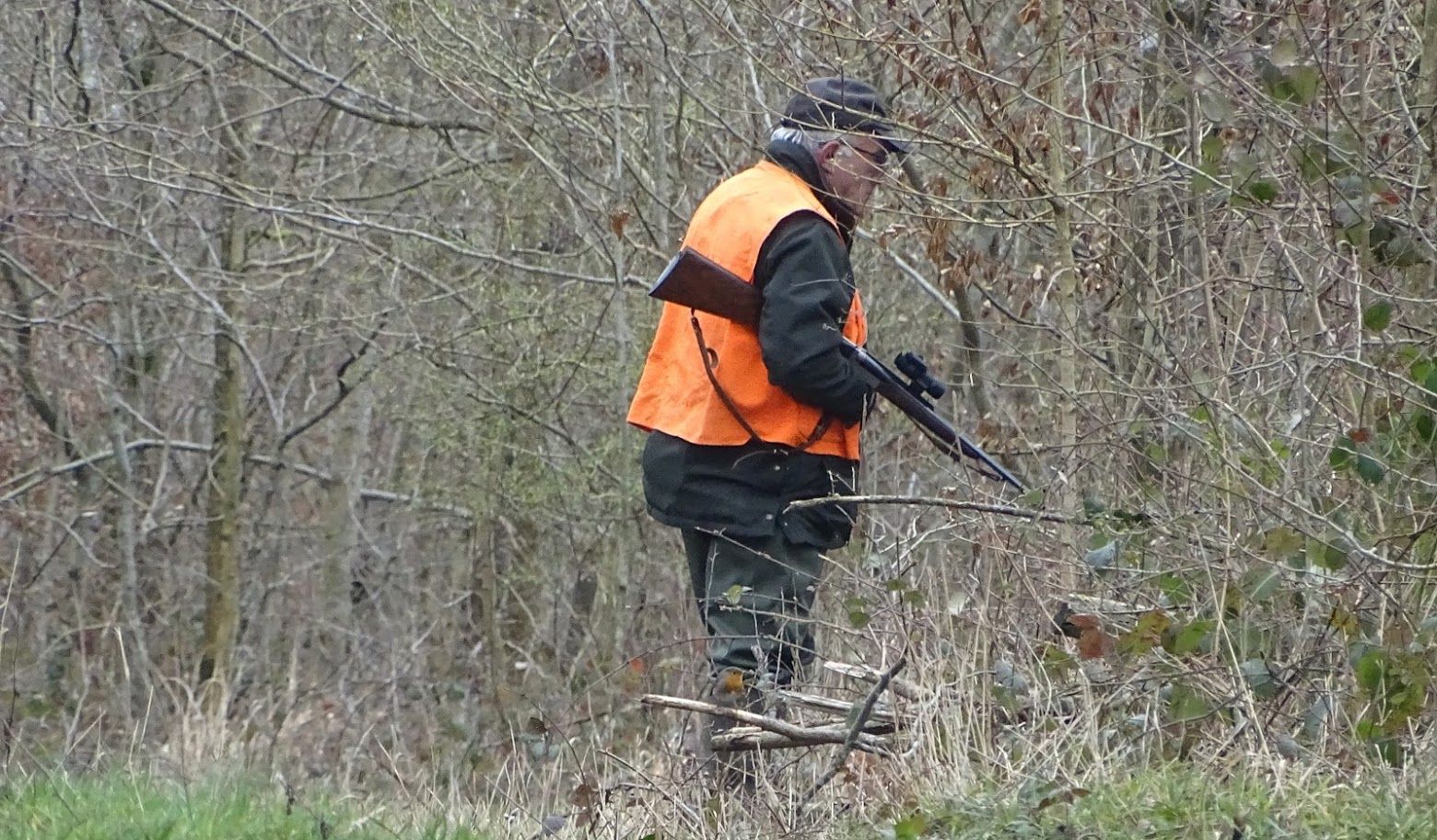 Vers une généralisation de l'ouverture estivale de la chasse ? - Nature ...