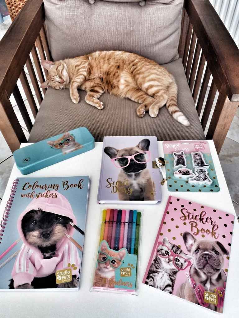 Une rentrée tout en douceur avec les Studio Pet's ! - Maman Enjoy