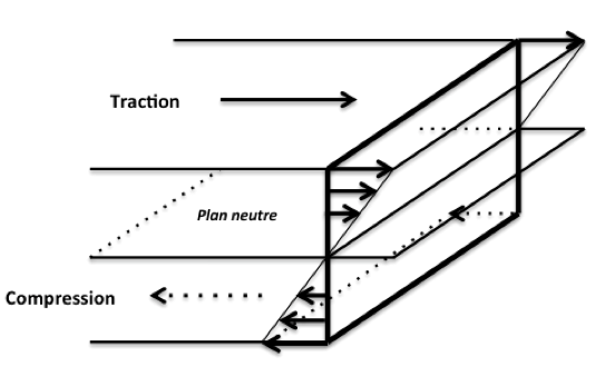 Lois mécaniques des petites déformations - Ostéo et sciences