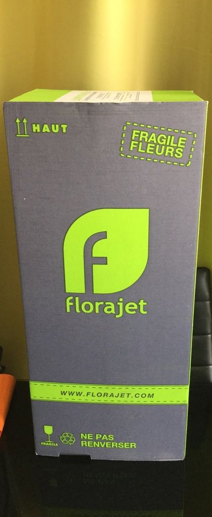 FLORAJET : offrir des fleurs par internet - Le blog de Saberlipopette