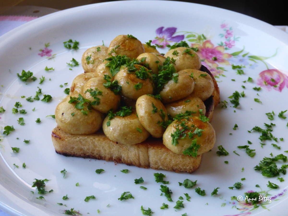 Toast aux champignons - La cuisine toute simple de Mamita