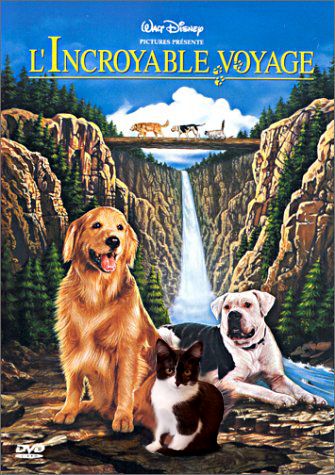 L'incroyable voyage - Les tribulations de Météore