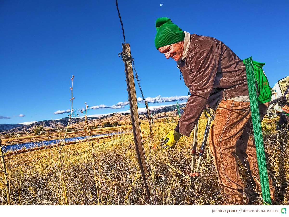 Once upon a time at Ready to Work (1) - Denver Donate - Field Guide for ...