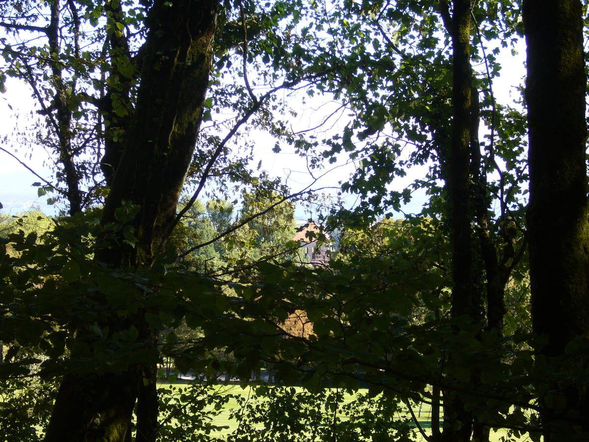 LA RIPPE – ABBAYE DE BONMONT - RANDOCOPS