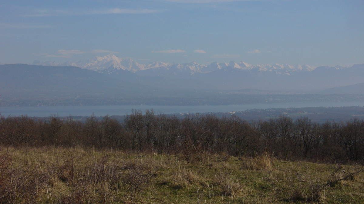 SOURCES DE LA DIVONNE, MONT-MUSSY, MONT-MOUREX - RANDOCOPS