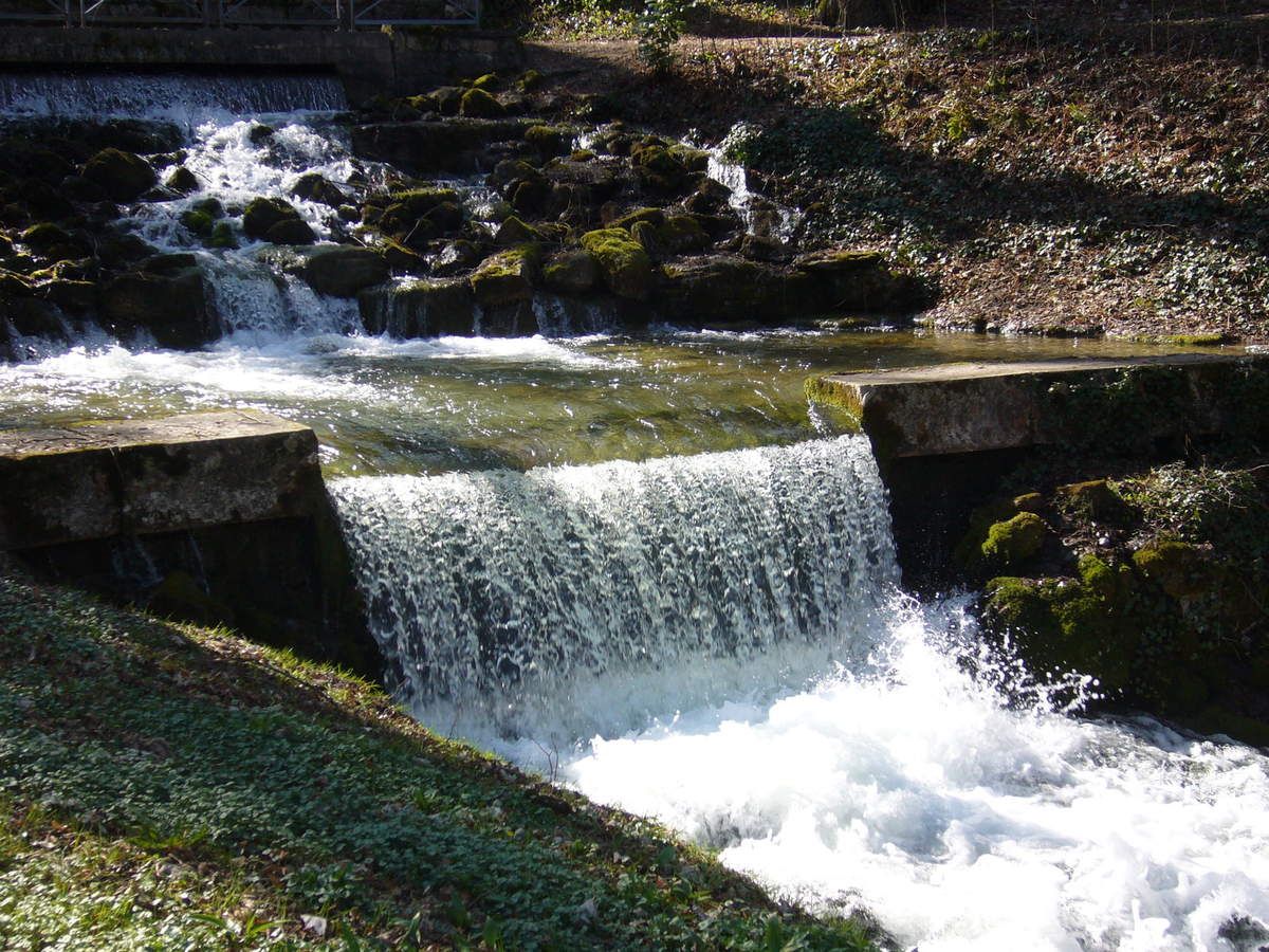 SOURCES DE LA DIVONNE, MONT-MUSSY, MONT-MOUREX - RANDOCOPS