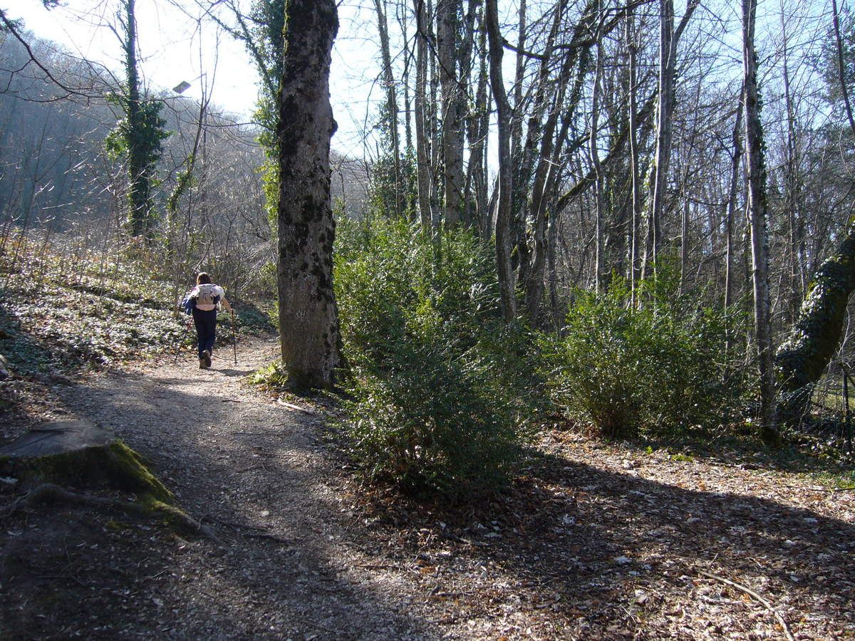 SOURCES DE LA DIVONNE, MONT-MUSSY, MONT-MOUREX - RANDOCOPS